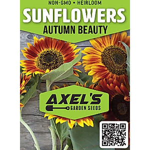 Sunflower Seeds for Planting - Plant & Grow Autumn Beauty Sunflower Mix in Your Home Outdoor Garden - 25 Non GMO Heirloom Seeds - Full Planting Packet with Instructions, 1 Packet