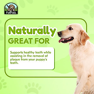 FURFUEL Yak Cheese Himalayan Dog Chews, (6 Counts Large) Long-Lasting Treats for Large & Medium Breeds Yak Chews Made with Pure Natural Ingredients, Perfect Dog Chews for Aggressive Chewers