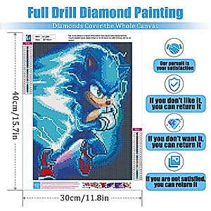 arcvoso 5D Diamond Painting Kits for Adults - Diamond Art Kits for Adults Kids Beginner,DIY Sonic Diamond Painting Full Drill Round Rhinestone for Home Wall Decor 11.8X15.7inch