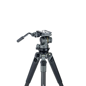 Vanguard Alta Pro 2V 263CV Carbon Fiber Video Tripod with Alta PH-114V Video Head