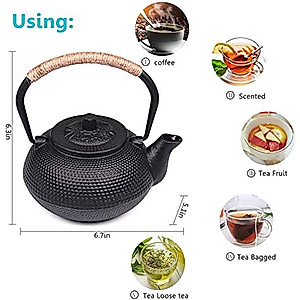 suyika Japanese Tetsubin Cast Iron Teapot Tea Kettle pot with Stainless Steel Infuser for Stovetop Safe Coated with Enameled Interior 22 oz/650 ml