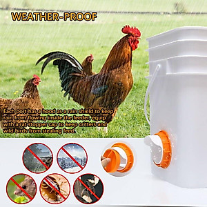 DSTANA DIY Chicken Feeder No Waste 4 Ports Automatic Poultry Feeder with 4Pcs Stopper & 1 Hole Saw, Weatherproof Reusable Gravity Chicken Feeder Kits for Buckets, Barrels, Bins, Troughs(Orange)