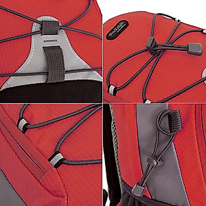 10L Small Hiking Backpack for Kids Ages 3-6 Girls Boys Under 4 feet, Mini Waterproof Outdoor Sport Travel Camping Daypack (Red)