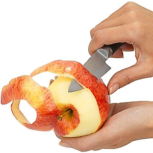 Good Cook Touch Paring Knife, 1-Pack