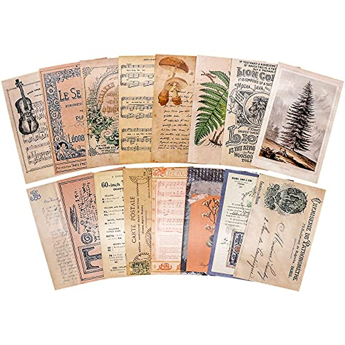 Knaid Vintage Style Postcard Set, Pack of 30 Botanical Plants Butterfly Mushroom Leaves Fruits Retro Postcards