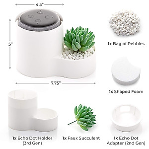 HAUS BRIGHT Echo Dot Holder | Google Mini Stand | 2nd/3rd Generation | Smart Accessories Cover Case | Clear Speaker, Mic, Lighting | Multi-Functional Planter, Money, Keys, Candy, Ring Dish