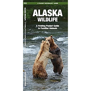 Alaska Wildlife: A Folding Pocket Guide to Familiar Animals (Nature Observation North America)
