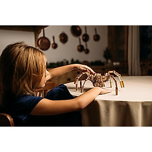 Wood Trick Mechanical Spider 3D Wooden Puzzle - Runs up to 7 feet - Wooden Model Kit for Adults and Kids to Build