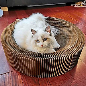 BobbyPet Cat Scratcher Lounge Bed - Collapsible Round Shape for Big cat