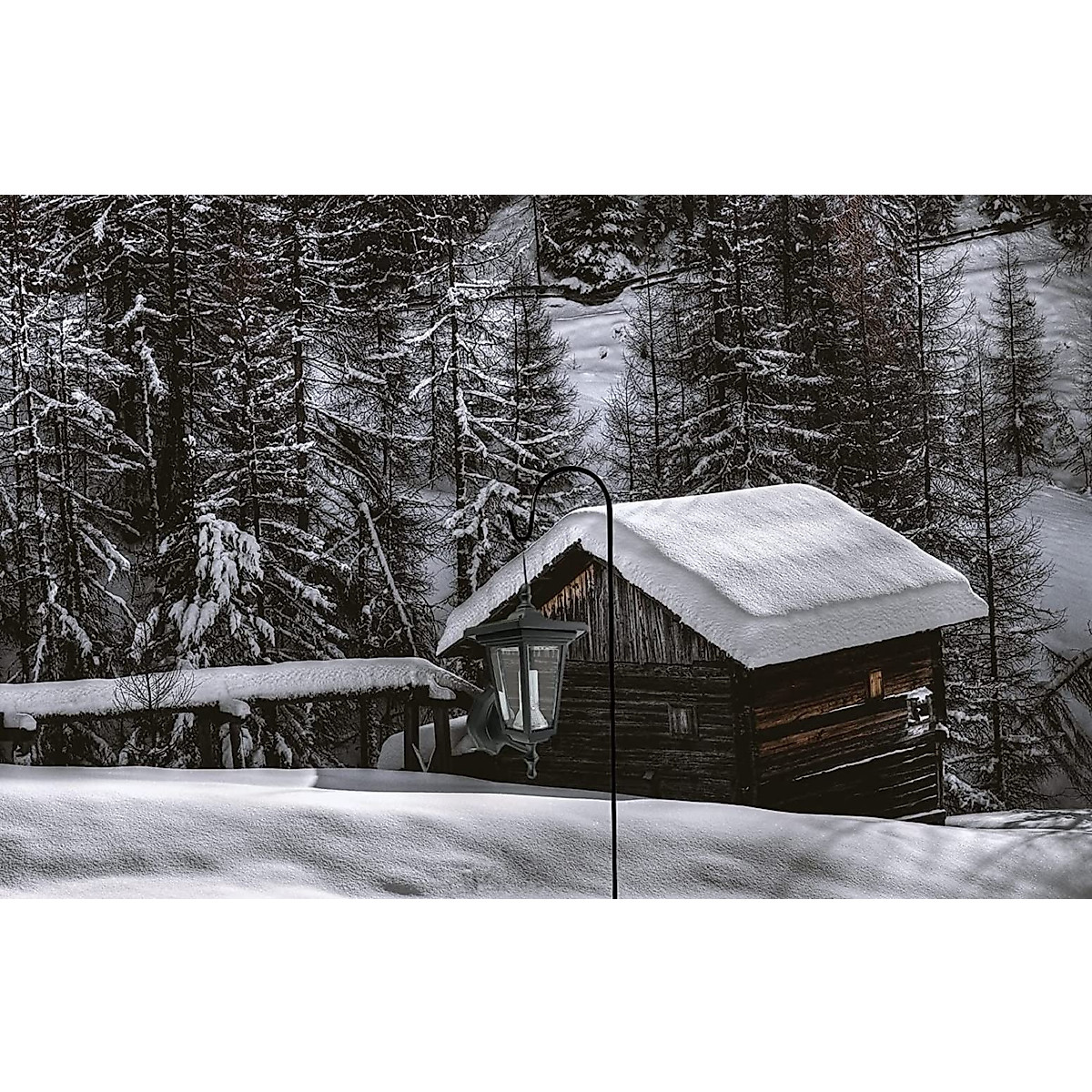 Ashman Shepherd's Hooks 35 Inch (12 Pack), Black, Made of Premium Metal for Hanging Solar Lights, Bird Feeders, Mason Jars, Christmas Lights, Lanterns, Garden Stakes and Wedding Décor.