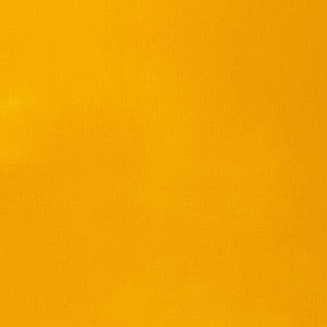 Liquitex BASICS Acrylic Paint, 250ml (8.5-oz) Tube, Cadmium Yellow Medium Hue