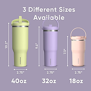 Hydrapeak Nomad 32 oz Tumbler with Handle and Straw Lid, Leakproof Tumbler, Tumbler Lid Straw, Double Insulated Tumblers, 32oz Double Insulated Cup Straw, Stainless Steel (Enchanted Lavender)
