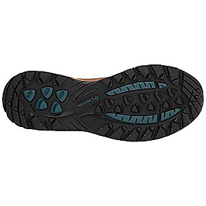 Columbia Women's Newton Ridge Plus Hiking Shoe, Elk, River Blue, 8