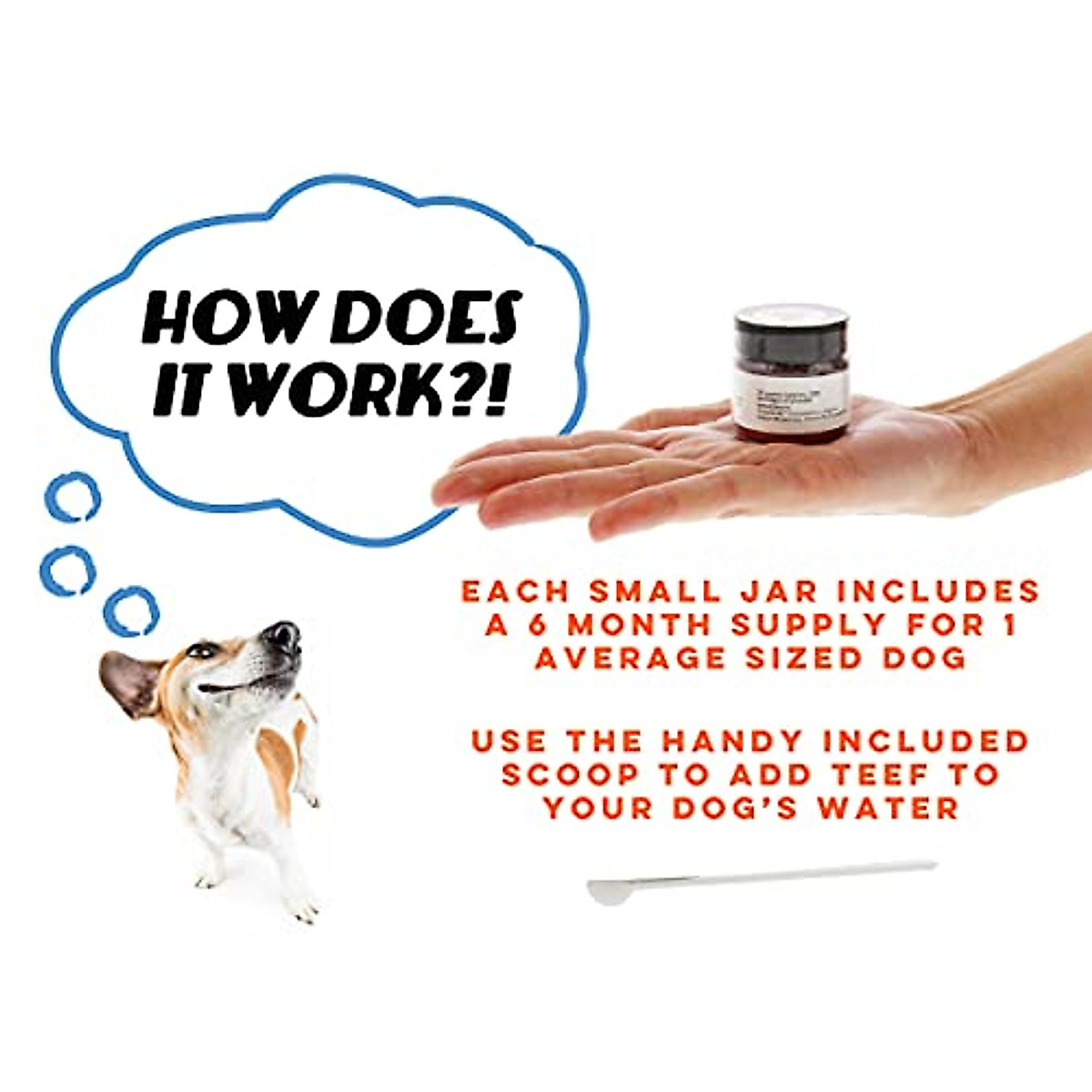 TEEF! Daily Dental Care - Natural Dog Dental Water Additive, 6 Month Supply - Award Winning Protektin42 Formula, Tartar and Plaque Remover - No Brushing, Add to Water Bowl for Healthier Gums