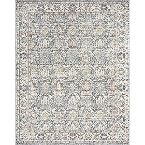 Aleena Gray Large 8x10 Area Rug 8x10 - Area Rugs for Living Room - Dining Room Rug - Bedroom Rug - Kitchen Rug or Entryway Rug Carpet - Alfombras para Salas Grandes - Traditional, Oriental