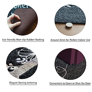 ffriidomm Home Sweet Home Door Mat Indoor Outdoor Rug Non Slip Rubber Backing Doormat Ultra Absord Mud for Front Door Dog Lover Owner Apartment Home Bedroom Porch Entrance