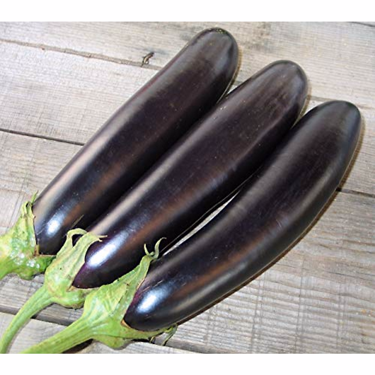 RAISE ME UP: Seeds Black Eggplant Long Pop Non GMO Heirloom