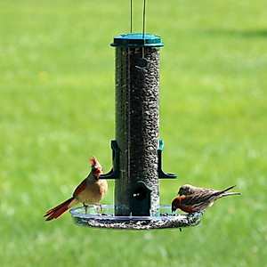 Backyard Essentials Plastic Bird Seed Tray Add-on Accessory - Compatible ONLY with Backyard Essentials Tube Bird Feeders - Screw-On Catcher Tray and Perch