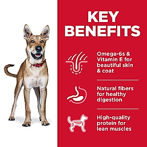 Hill's Science Diet Dry Dog Food, Adult, Chicken & Barley Recipe, 15 lb. Bag