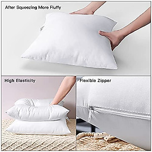 OTOSTAR Premium Outdoor Waterproof Throw Pillow Inserts 20 x 20 Inches Water Resistant Pillow Inserts Square Decorative Pillows for Couch Sham Cushion Stuffer Garden Furniture Patio Bench,Pack of 2