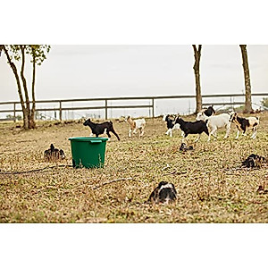 Farm Innovators HT-200 16 Gallon Plastic Heated Livestock Pet Farm Animal Water Bucket Tub with Hidden De-Icer Heating Element, Green (2 Pack)