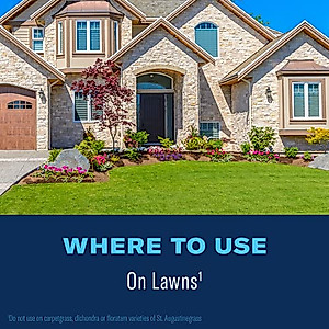 BioAdvanced Lawn Weed Killer, Concentrate, 32 oz