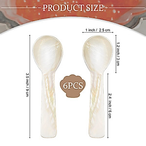 Caviar Spoons Mother of Pearl Mop Spoons with Hand Craft W Round Handle for Caviar, Egg, Ice Cream, Salt, Coffee Serving, Restaurant Serving Set(6 Pieces,3.55 Inch)