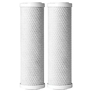 2-Pack Compatible WaterPur CCI-10-CLW Activated Carbon Block Filter - Universal 10 inch Filter for WaterPur Clear Water Filter Housing by AWS