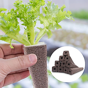 50 Pack Grow Sponges, Plant Seeding Starters Sponges Hydroponics Supplies, Plant Growing Plugs Sponges Seeding Pods for Planting, Hydroponics Pods for Hydroponic Indoor Garden(Brown)