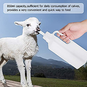 Tofficu Goat Feeding Milk Bucket Bottle Lamb Feeding Bottle with Nipples 850ml Livestock Drink Bottle Jug Goat Calf Milk Water Bottle for Farm Accessories Bottles
