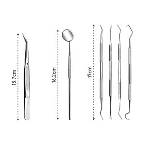 Plaque Remover for Teeth Portable Dental Tools Stainless Steel Dental Picks for Teeth Cleaning Oral Care for Adults Kids and Pets Tartar Remover for Teeth with Case for Daily Use