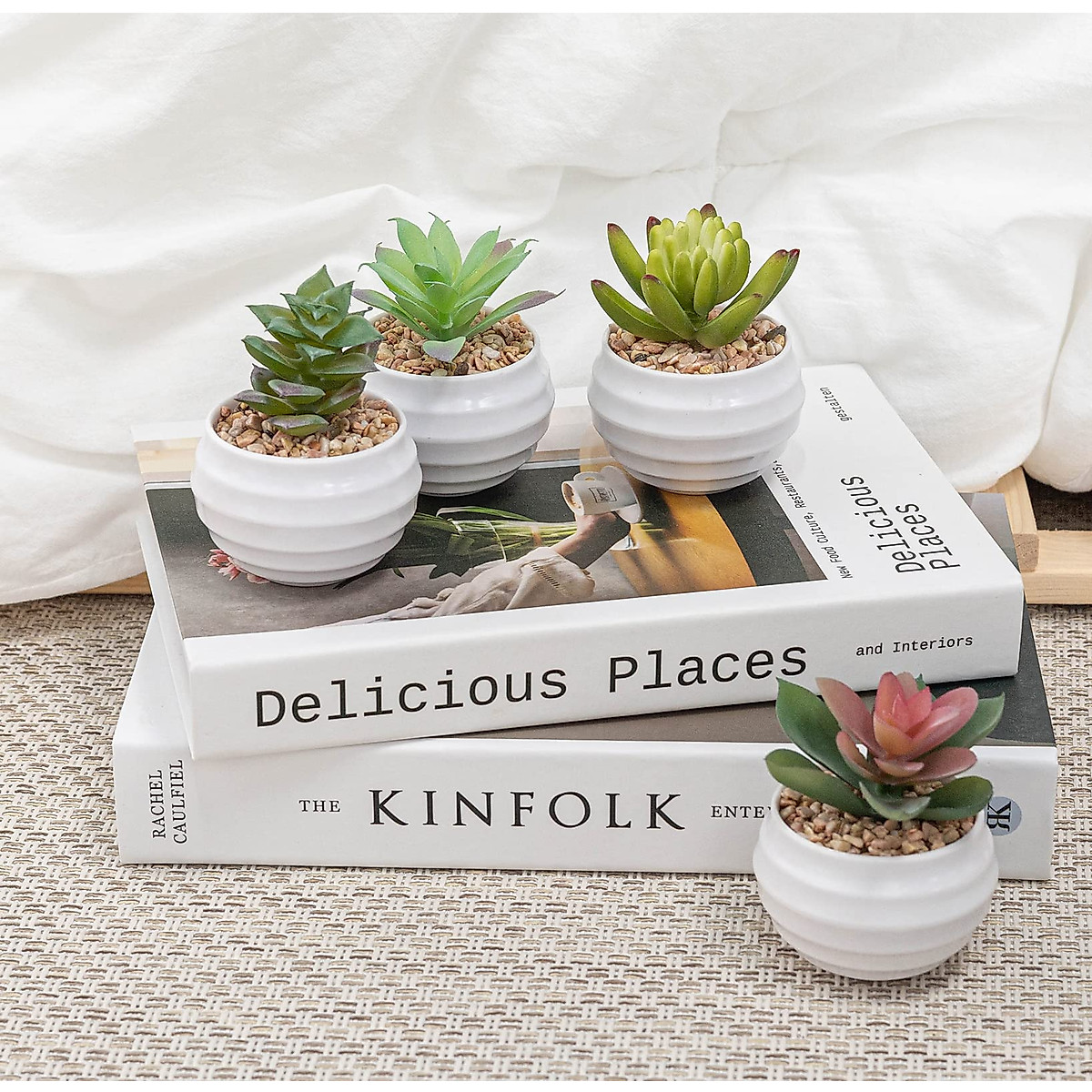 GOODSDECO Artificial Succulent Plants in Pots, Fake Plants for Indoors, Home Garden Decor, Cactus Plants Artificial, Fake Cacti, Faux Succulents, Set of 4