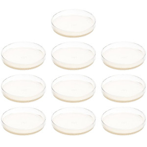 ULTECHNOVO 10 pcs Nutrient agar Plate agar Petri Dishes Petri Dishes with lids pre Poured agar Plates Laboratory Accessory prepoured Petri Dish Mushroom agar Plates Child Stripe Specimen