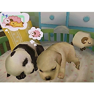 Petz Nursery 2 - Nintendo DS (Renewed)