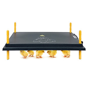 Rural365 Chick Heating Plate Brooder Plate - 16x24in Brooder Heat Plate for Chicks and Ducklings with Adjustable Height