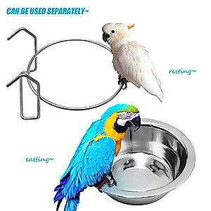 2 Pack Bird Feeder Birds Bowls Stainless Steel Dishes Coop Cups with Wire Hook, Parrot Feeding Dish Cups Food Water Bowls with Bird Food Holder and Rattan Ball for Finches Lovebirds (Set 1)