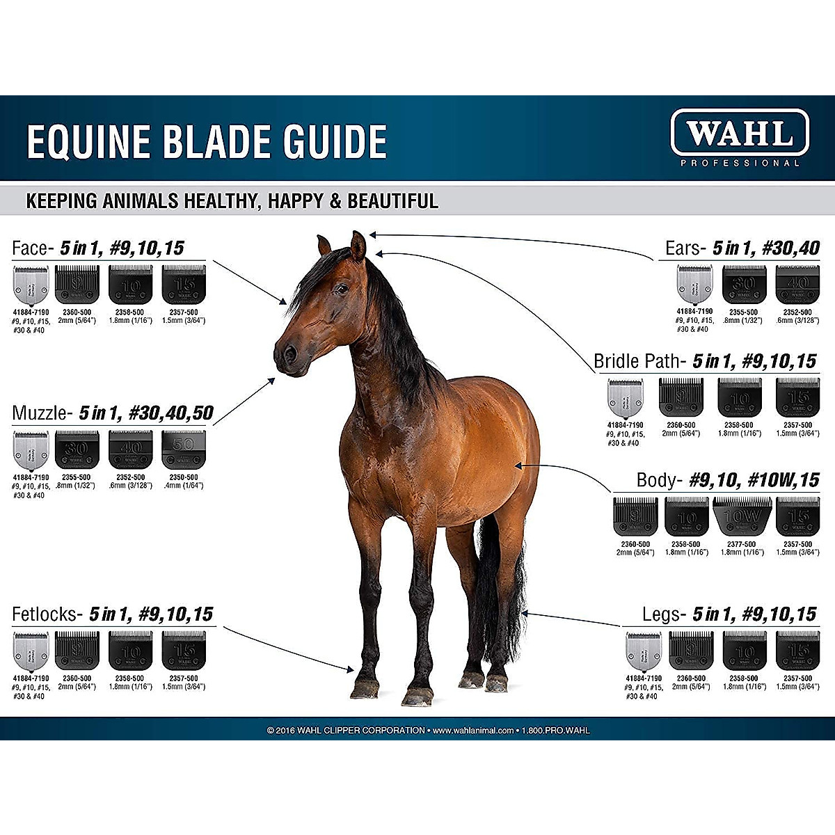 Wahl Professional Animal 10 Medium Ultimate Competition Series Detachable Blade with 1/16-Inch Cut Length (2358-500)