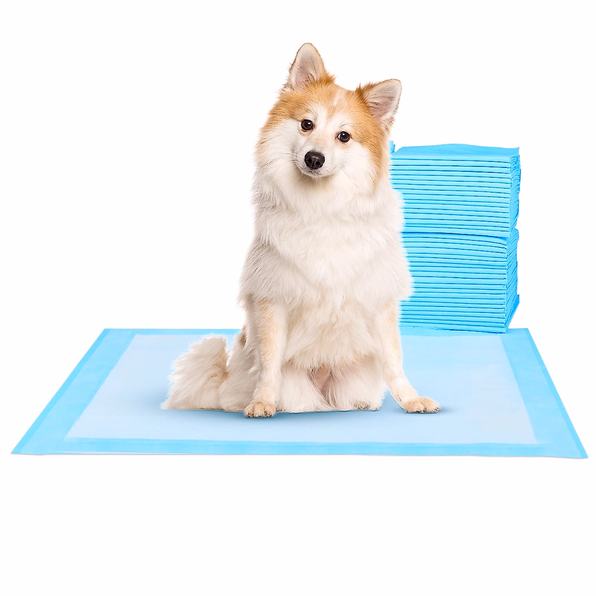 Super-Absorbent Waterproof Dog and Puppy Pet Training Pad, Housebreaking Pet Pad,Blue (28"X30"(100PCS))