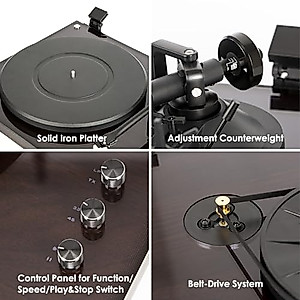 1 BY ONE Luscinia Acrylic Sheet Turntable, Belt-Drive Vinyl Record Player with Bluetooth Connectivity, Built-in Phono Preamp, USB Recording RCA Output, Adjustable Counterweight and Magnetic Cartridge