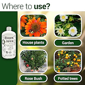 Elm Dirt's Bloom Juice for All Flowering Plants (1-32 oz Bottle)