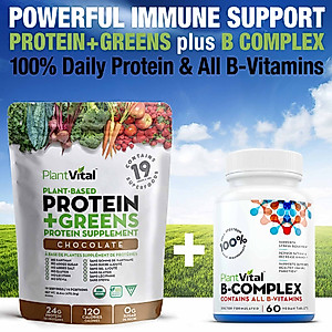 Plantvital Vegan Protein Powder Plant Based - Organic Protein Powder Chocolate - 24g/0g Sugar, 18 Superfoods, Probiotics, Raw Cocoa, Pea, Gluten-Free, Keto-Friendly, 16oz