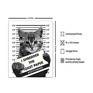 Funny Cat Bathroom Wall Art Decor - 8x10 Humorous Mugshot Home Decoration Poster for Restroom, Guest Bath, Powder Room - Gag Gift for Cat Lovers - Cute Picture Photo Print