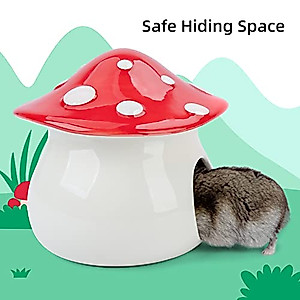 Niteangel Ceramic Hamster Habitat Hideout: - Hideaway House for Syrian Dwarf Hamster Mice Gerbils Lemmings or Other Similar-Sized Small Pet (Mushroom-Shaped)