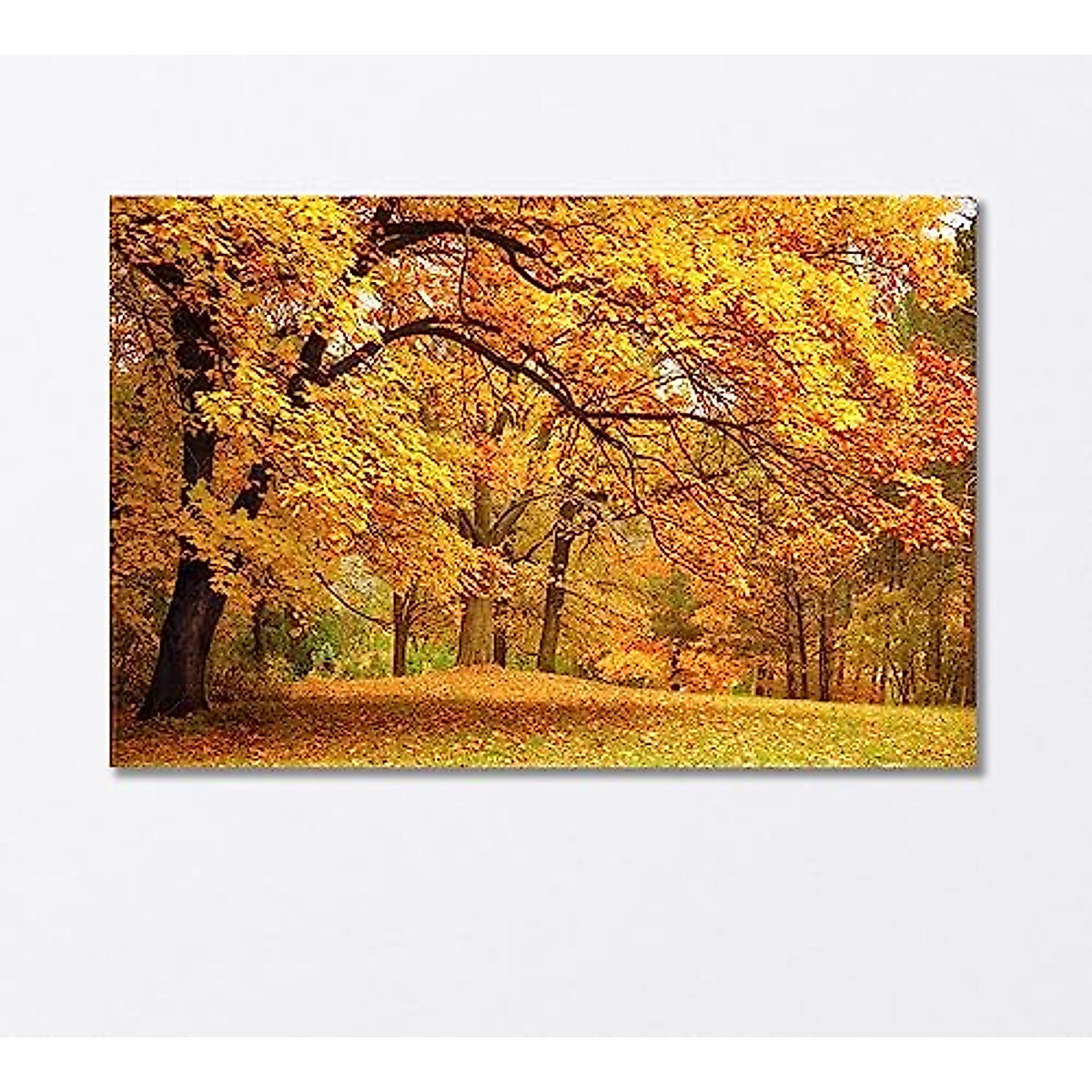 Autumn Landscape Canvas Print 3 Panels / 36x24 inches