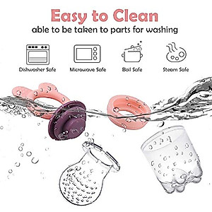 Baby Fresh Fruit Food Feeder Pacifier - 2 Packs BPA Free [3 Sizes Silicone Food Pouches Included] (Light Pink & Grass Green)