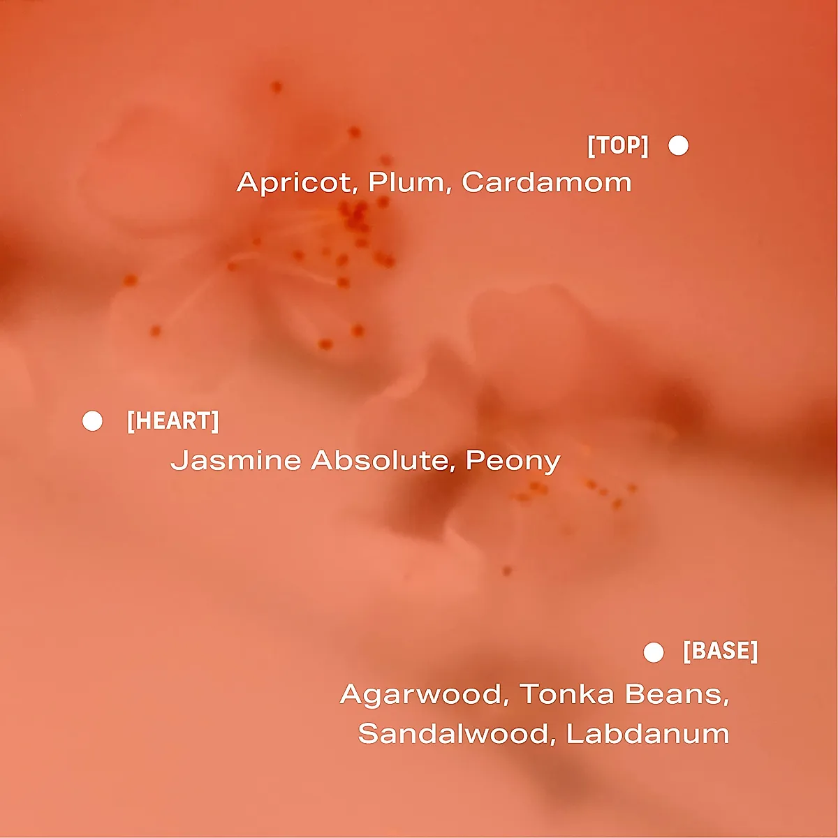 PHLUR - Fine Fragrance - Eau de Parfum - 50mL (Apricot Privée)