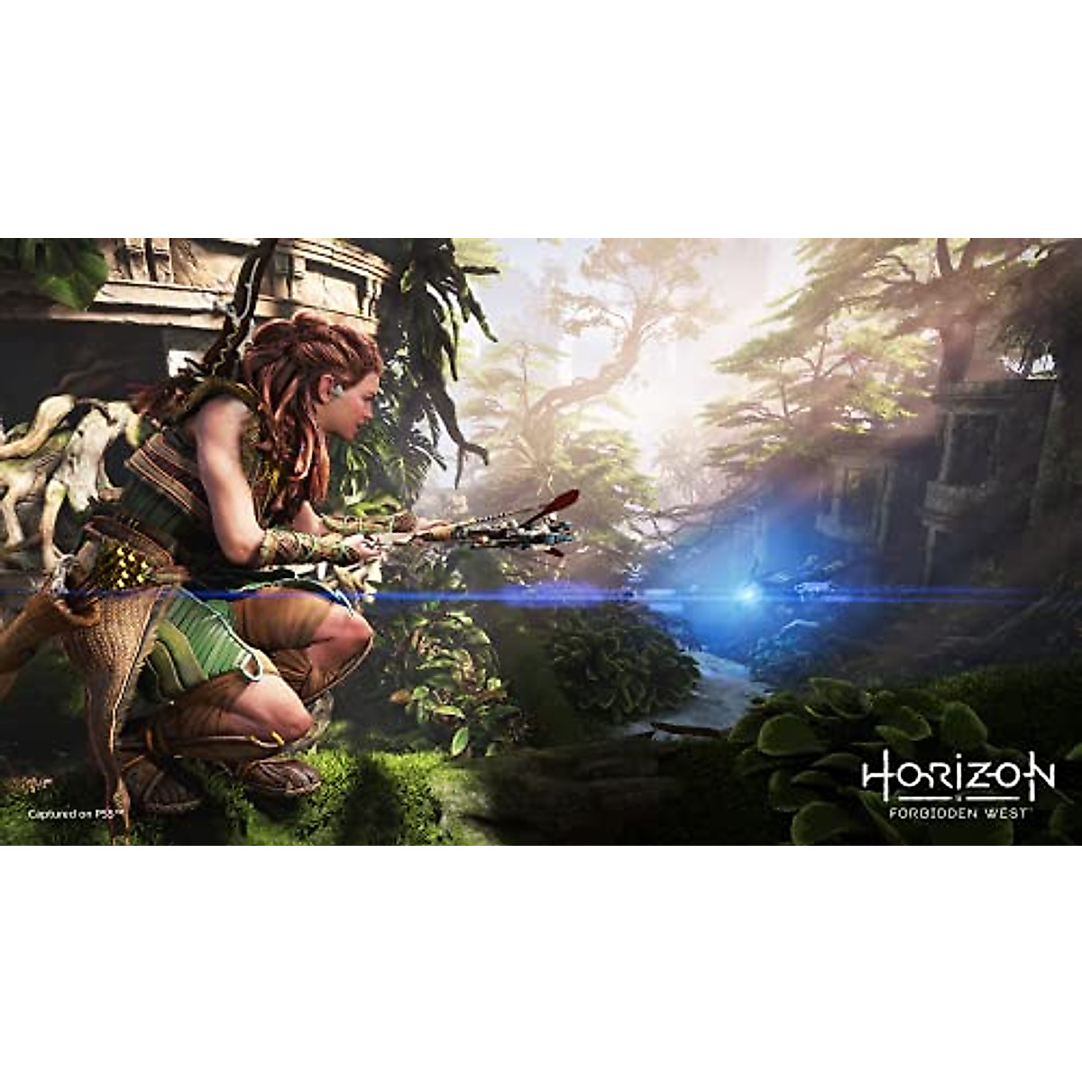 Horizon Forbidden West (PS5)