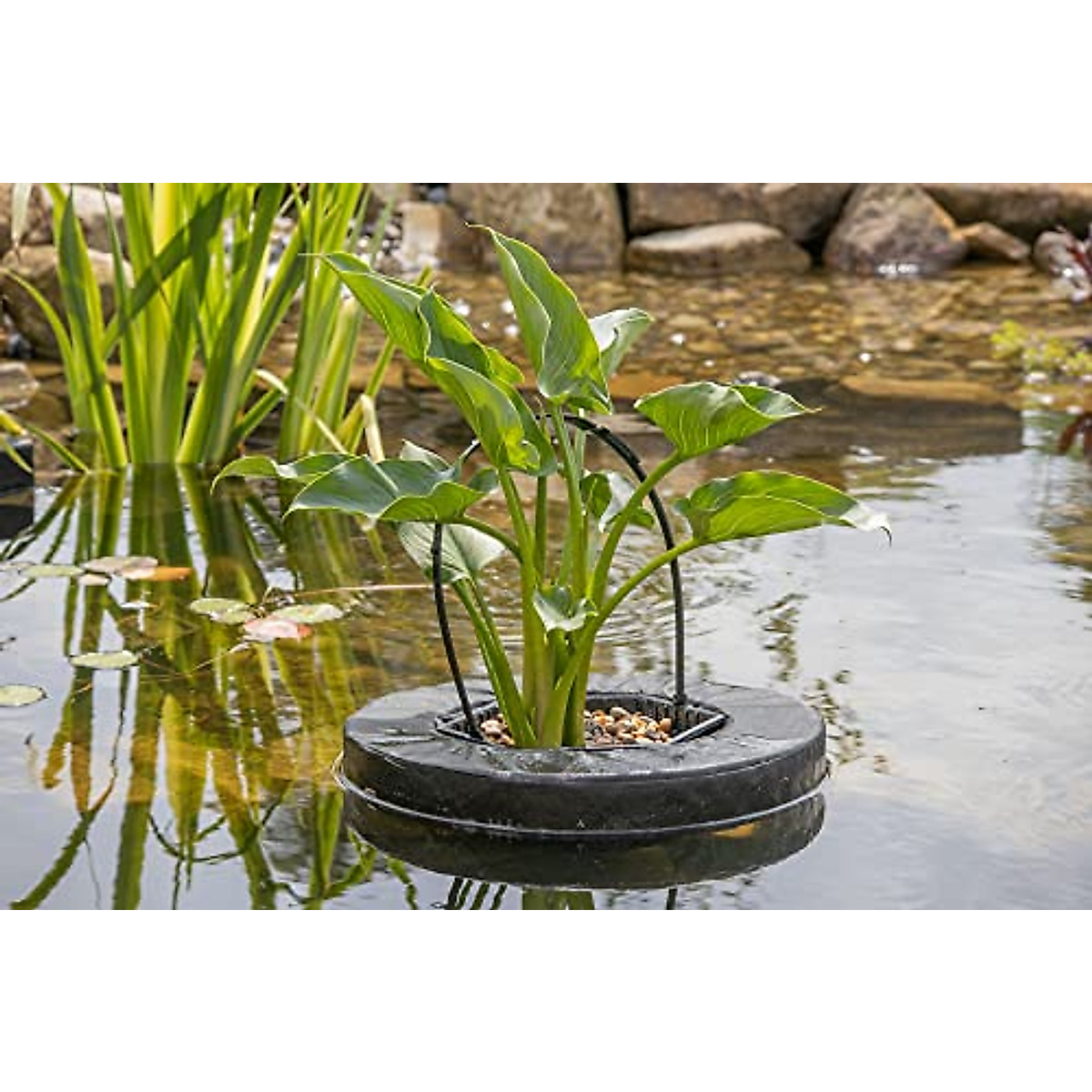 PondH2o 14" Round Floating Aquatic Water Garden Pond Planter Baskets, Floatable Aquatic Plant Flower Islands for Ponds and Water Features | Value 2 Pack