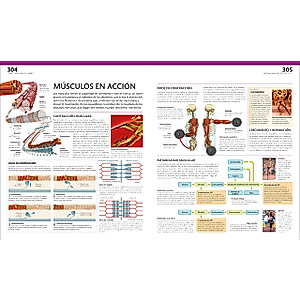 El gran libro del cuerpo humano (The Complete Human Body): Segunda edición. Ampliada y actualizada (DK Human Body Guides) (Spanish Edition)