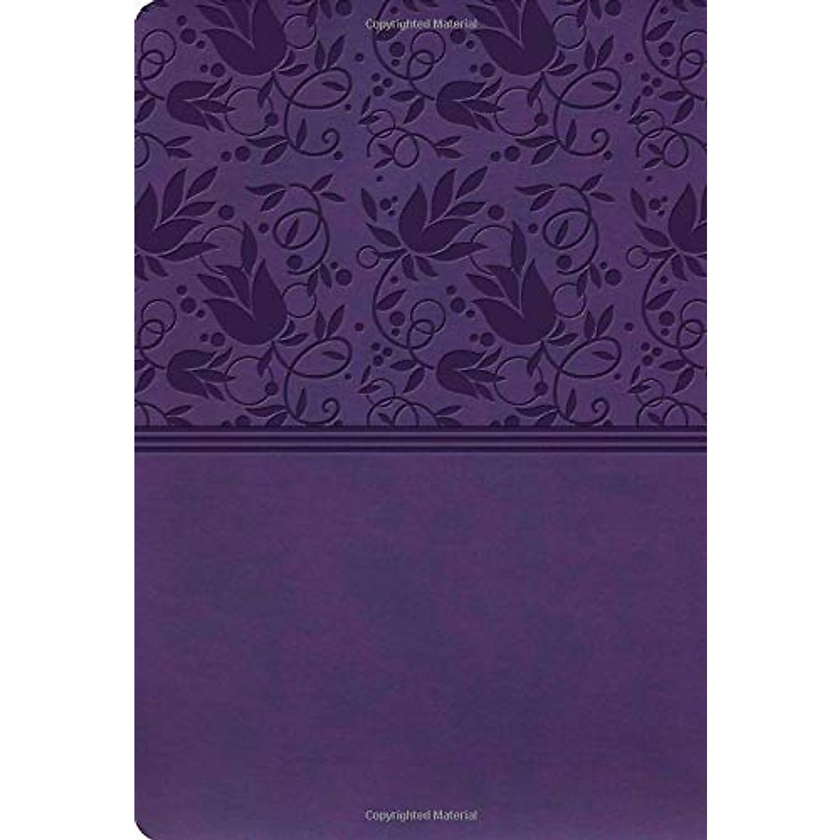 NIV Rainbow Study Bible, Purple LeatherTouch Indexed